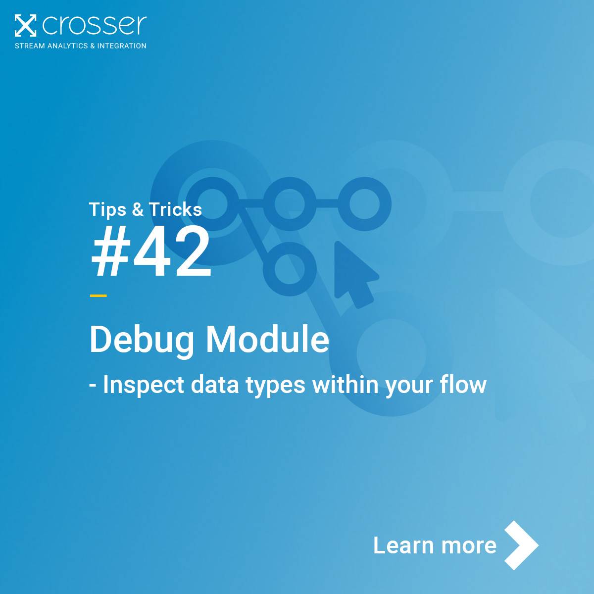 The ‘Debug’ Module | Crosser